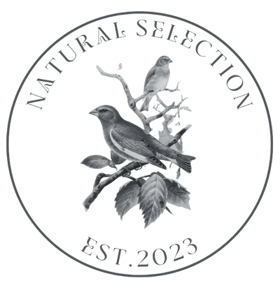 Natural Selection